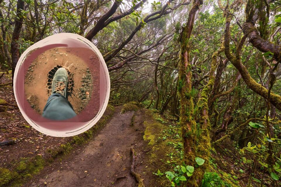 NJ Hiker Rescued After Getting Stuck in ‘Quicksand-Like’ Mud - NewsBreak