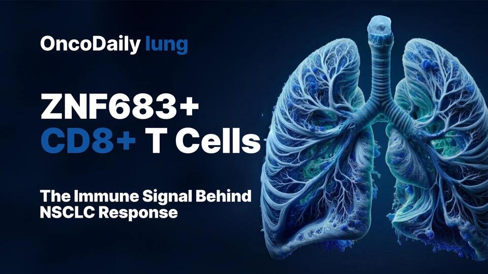 ZNF683+ CD8+ T Cells and SPP1 Signaling May Define Immunotherapy ...