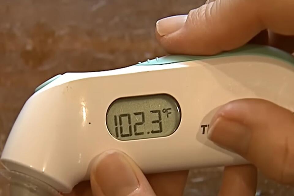 Idaho's Flu And 'Super Flu' Strains: How To Identify Your Illness ...