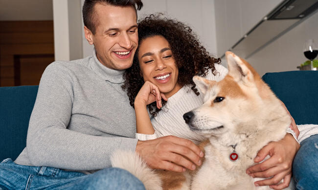 3 Simple Ways to Support Overpopulated Animal Shelters and Pets in Need ...