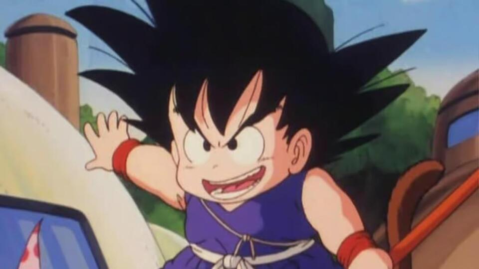 Dragon Ball Goku & Gohan voice actor imprisoned for property theft ...