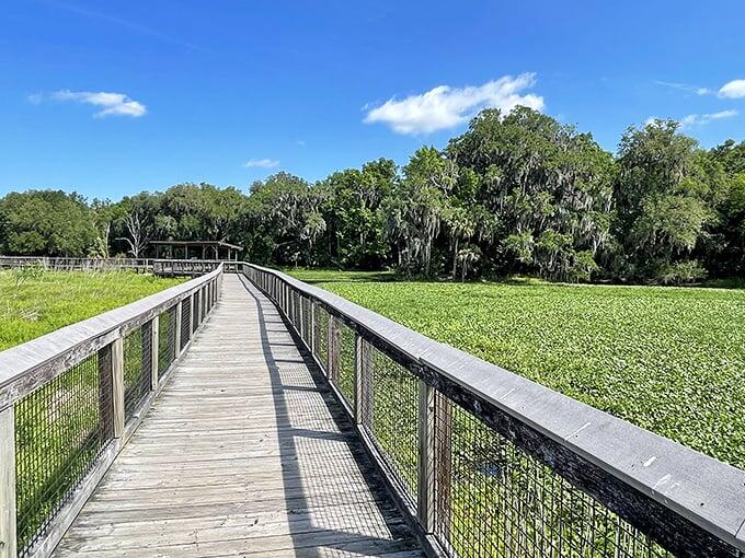 The 21,000-Acre State Park In Florida That’s Too Beautiful To Keep ...