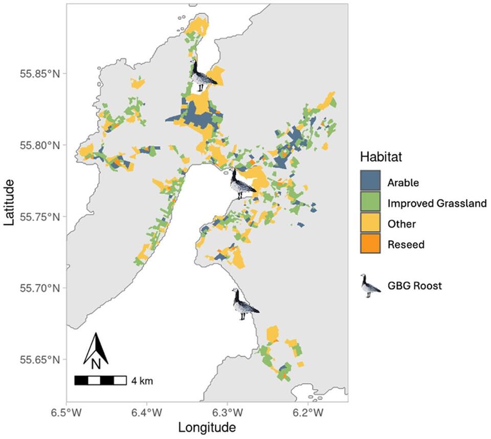 Forage over fear: Assessing drivers of site use in response to shooting ...