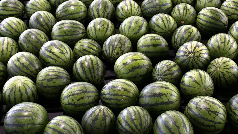 Semi-truck full of watermelons catches fire, causing road closure on ...
