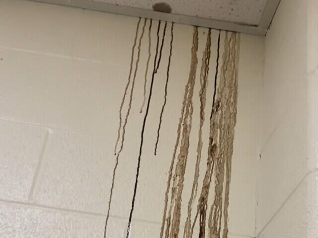 Parents in disbelief after video surfaces of black sludge in school ...