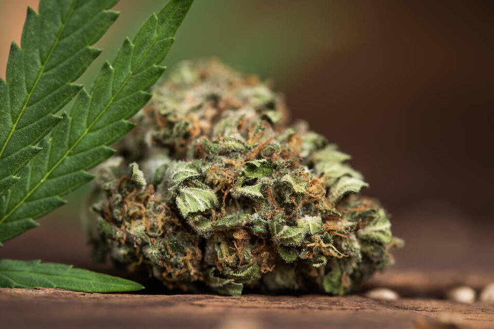 Virginia Senate Finance and Appropriations Committee Approves Bill to ...