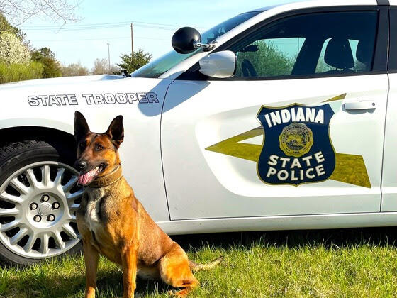 Indiana State Police K9 Daisy to receive donated body armor