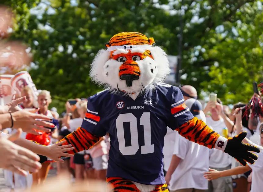 Auburn Track & Field Gears Up for Bob Pollock Invitational 2025 - NewsBreak