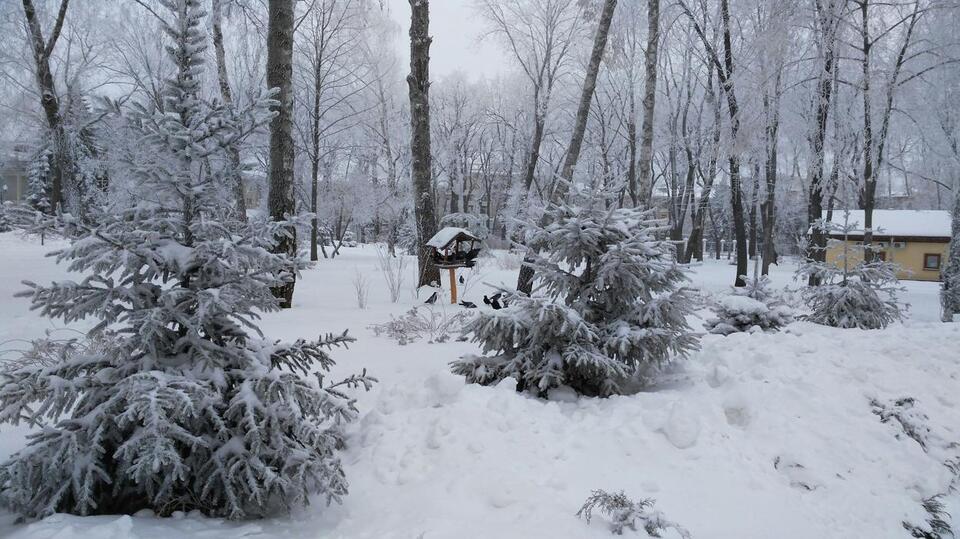 Winter May Arrive Early In New York With Snow Soon - NewsBreak