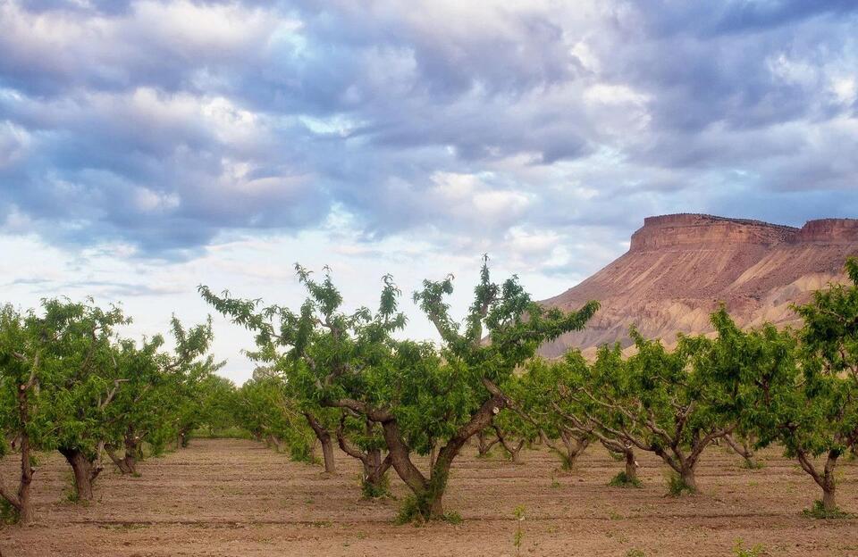5 Grand Junction History Facts You Never Learned in School - NewsBreak