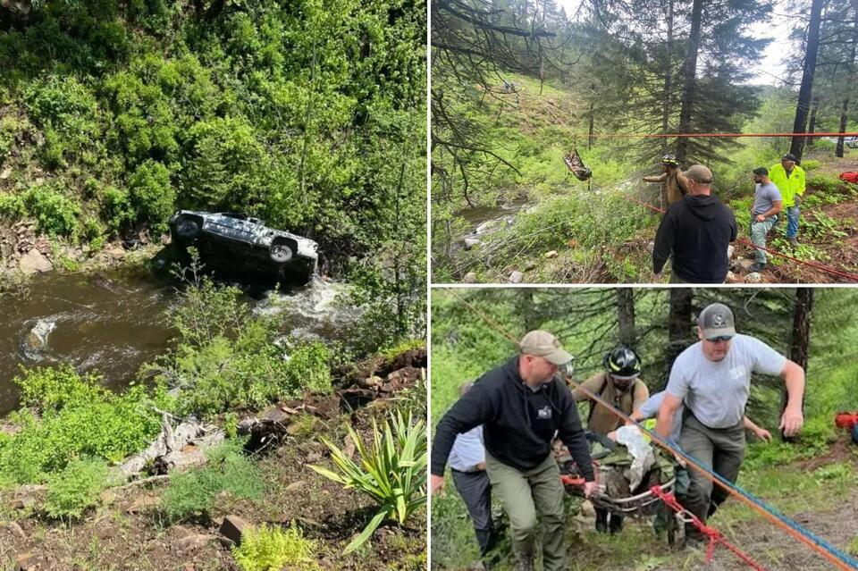Dog runs 4 miles to find help after owner drives over Oregon cliff ...