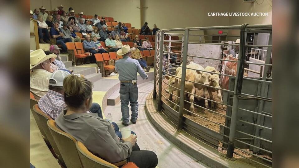 Carthage Livestock Auction raises more than $100,000 for family of ...