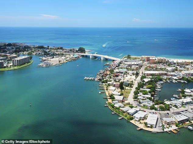 Smirking woman with questionable eyebrows arrested for mowing down ...