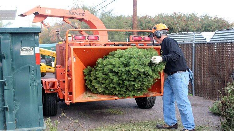 Phoenix Christmas tree drop-off sites open until Jan. 7 - NewsBreak