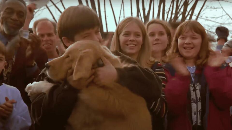 First poster for the return of beloved Buddy in Air Bud Returns revealed - NewsBreak