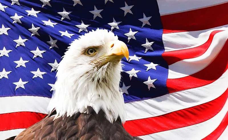 ‘No Kings’ Rallies in Pasadena, Sierra Madre, Glendale and Beyond This ...