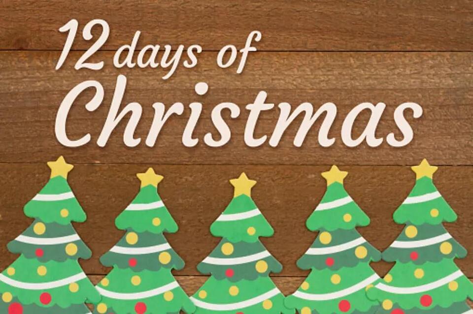 Here’s What The “12 Days Of Christmas” Cost In Illinois This Year ...