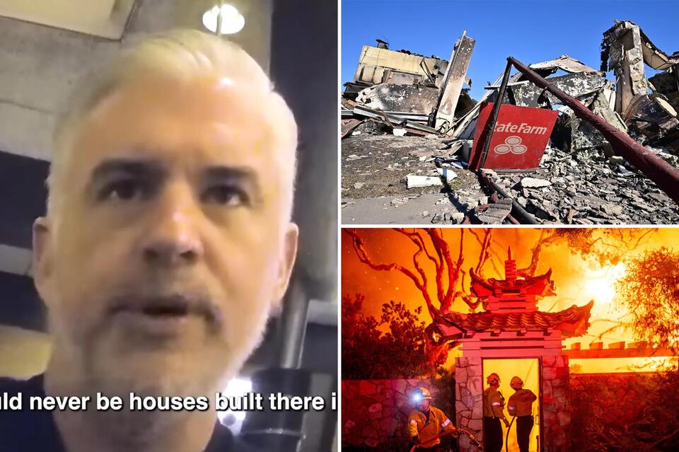 State Farm exec fired over jaw-dropping comments about LA wildfire rate ...