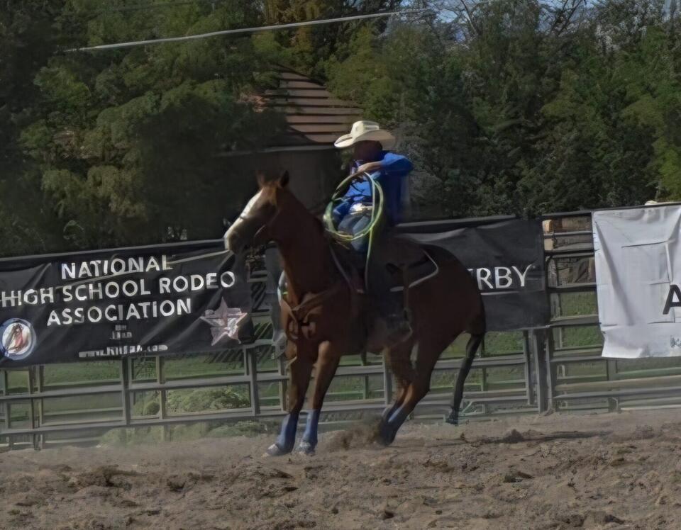 Emery and Carbon earn top marks at South Jordan Rodeo - NewsBreak