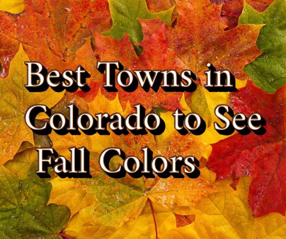 Colorado Colleges Rank Lower Than Expected in New U.S. News List ...