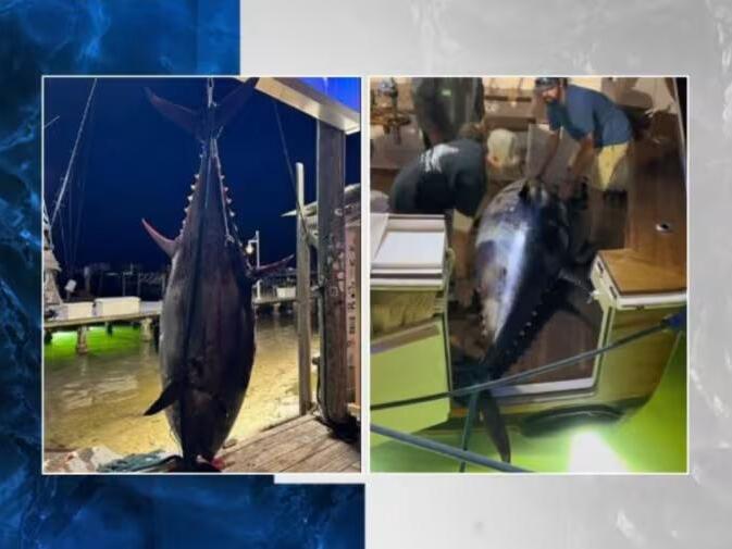 Monster 888-pound Tuna is largest ever caught off Florida