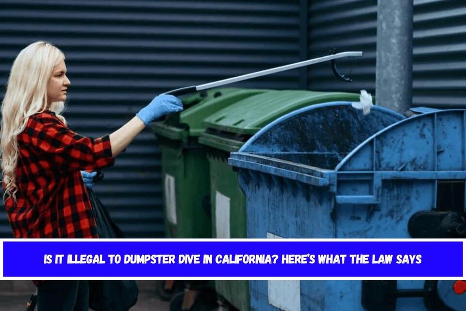 Is It Illegal to Dumpster Dive in California? Here’s What the Law Says ...