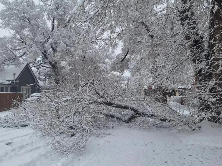 Colorado Springs officials provide update on winter storm response