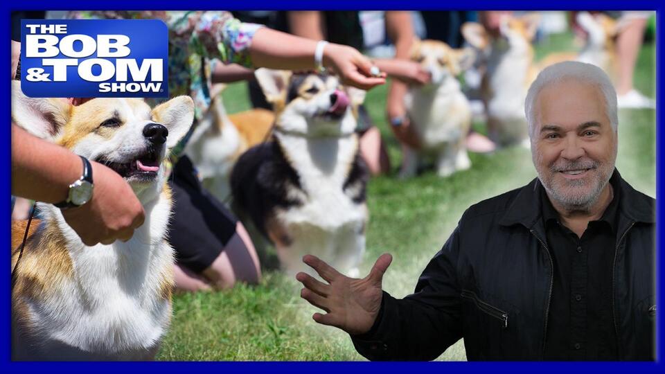 Dog Show Adventures, Reptile Tales & Pat Godwin’s Epic Songs! - NewsBreak