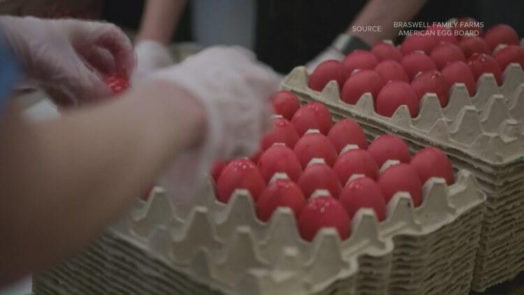 North Carolina eggs featured at White House Easter Egg Roll - NewsBreak