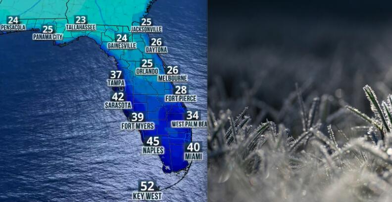 Extreme cold watch for much of Florida; brutally cold weekend - NewsBreak