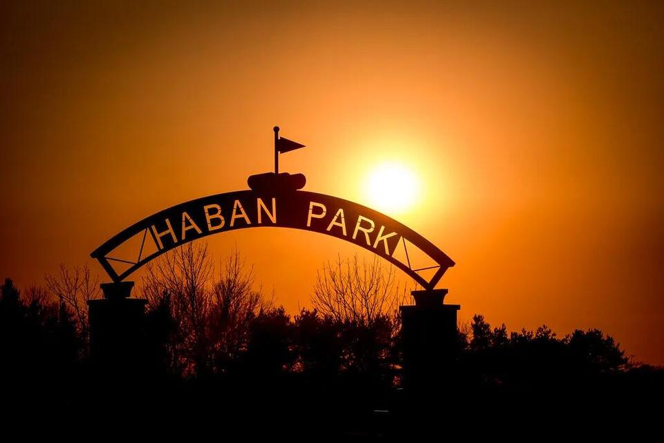 Bring Haban Park back: Parents unhappy with 2025 RYS football over ...