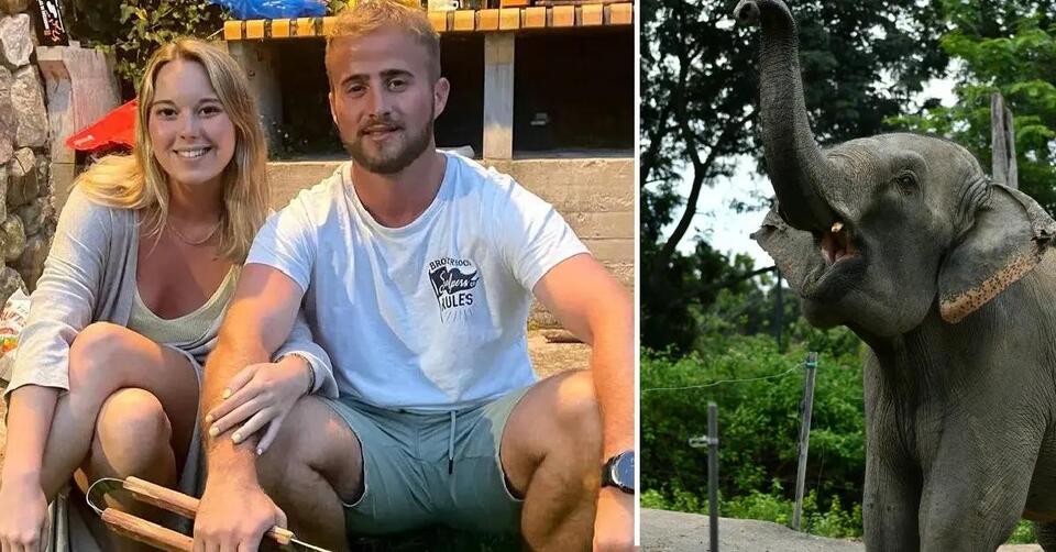 Spanish Tourist, 22, Killed by Elephant in Thailand as Her Boyfriend ...