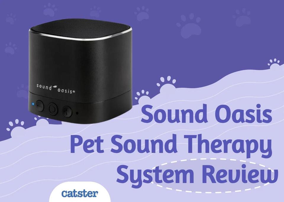 Sound Oasis Pet Sound Therapy System Review 2025: Effective Pet Calming ...
