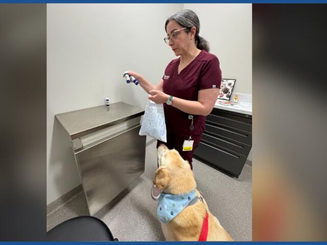 Zach updates Walter the Weather Dog's cancer battle - NewsBreak