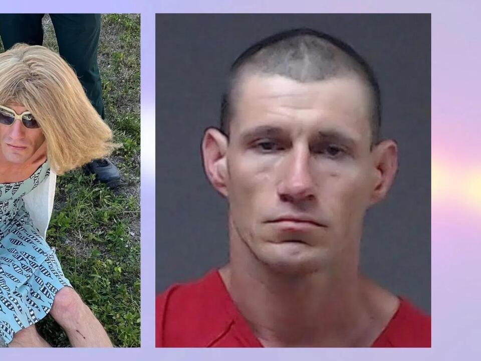 Suspect wears dress and wig in poor attempt to disguise himself ...