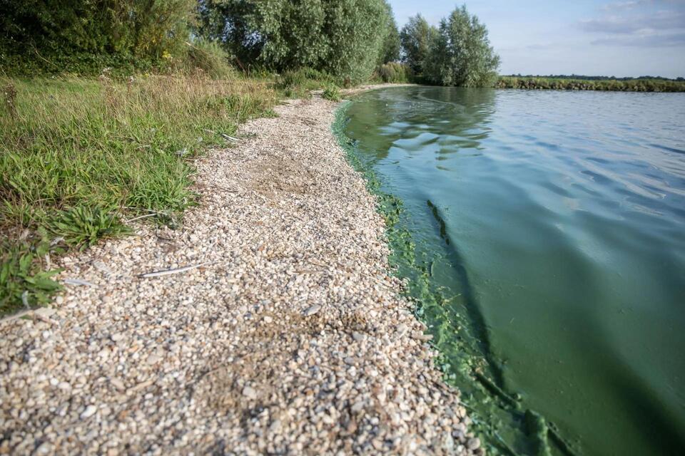 Officials issue warning after finding 'killer' creature where it doesn ...