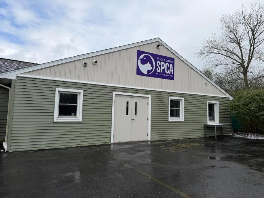 Cayuga County animal shelter gets new name, expands with finished $1.3M ...
