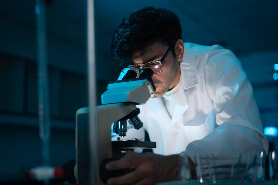 US researchers reflect on how 2025’s science cuts have changed their ...