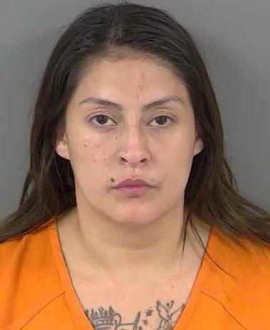 Woman Arrested as Getaway Driver in Husband’s Collier County Armed ...