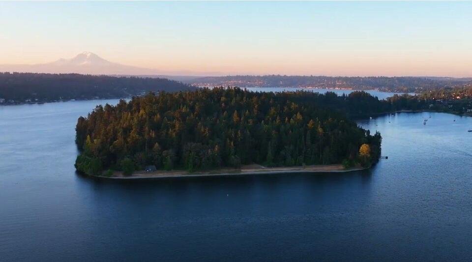 Visit “The Magnificent Forest” near downtown Seattle - NewsBreak
