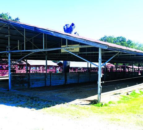 FCFAR to build new cattle barn - NewsBreak
