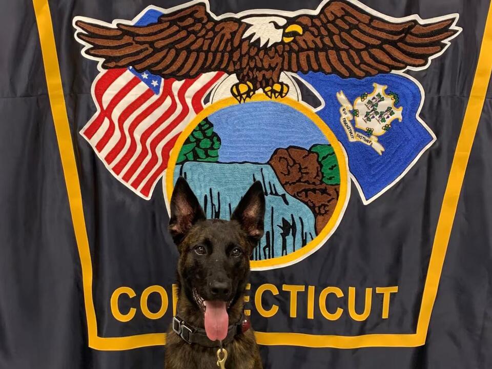 Newington police introduce newest member of the team, K9 Ray