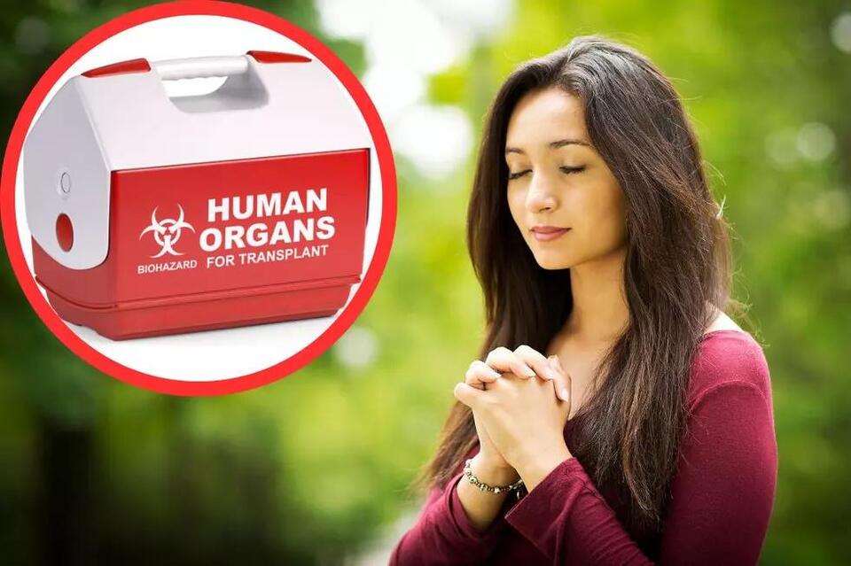 Woman Throws Out Sister’s Frozen Organ Due to Religious Beliefs ...