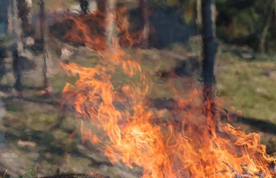 Wildfire in Big Cypress grows to 350 acres; visitors told to evacuate ...