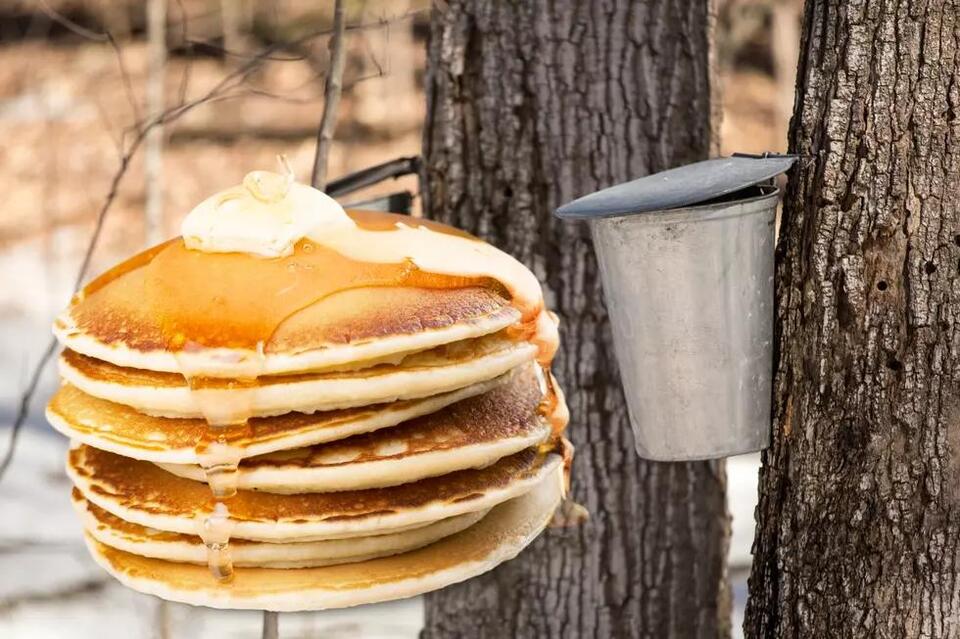 Enjoy Nature and Evansville-Made Maple Syrup at the Maple Sugarbush Festival - NewsBreak