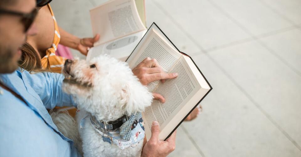 Centennial Knowledge Hub For Animal Lovers - NewsBreak