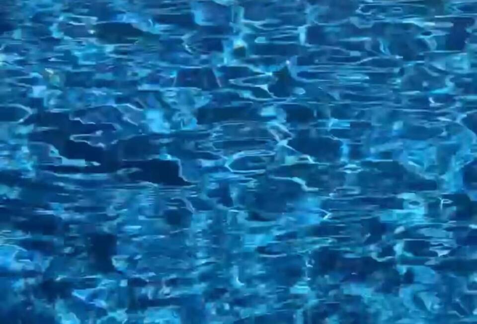 ‘Disregard For Rules’ Closes Hawthorne Pool After Bacteria Spike ...