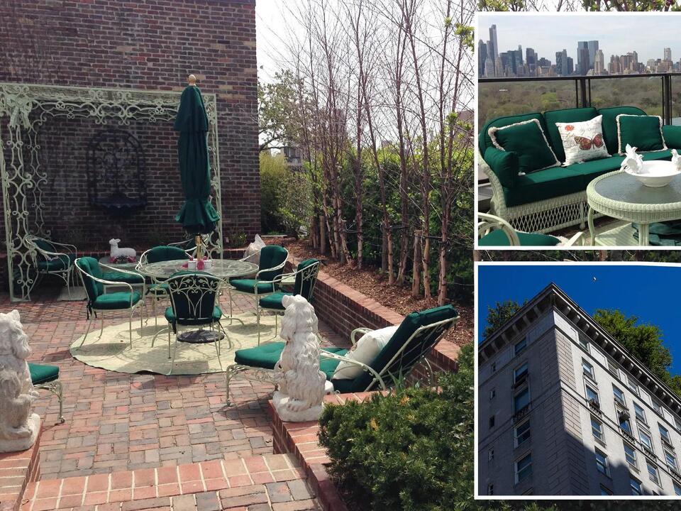 Historic UES rooftop garden overlooking Met faces co-op battle as ...