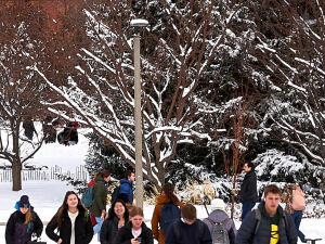 Montana State University sets spring record, University of Montana ups ...