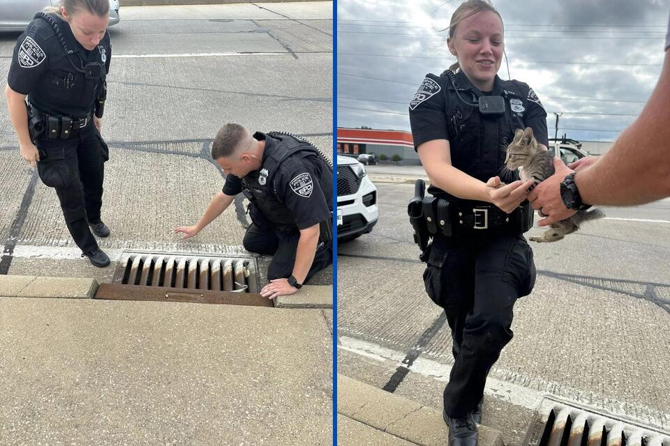 Kitten Saved by Evansville Police After Being Trapped in Drain - NewsBreak